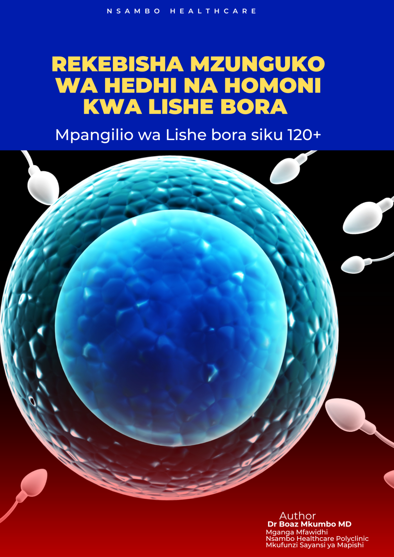 Mwongozo wa lishe kurekebisha hedhi na homoni (PDF) – Nsambo Shop